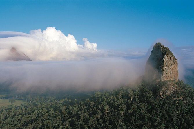 Sunshine Coast and Noosa Private Tour Inc. 2-Course Gourmet Lunch - A Well-Balanced Itinerary of Scenic Highlights