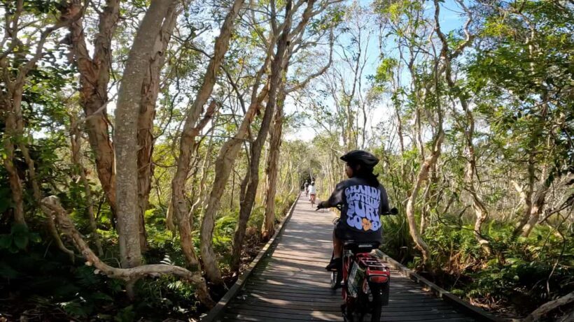 Sunshine Coast: Easy Peasy Novotel North E-Bike Tour - Key Points