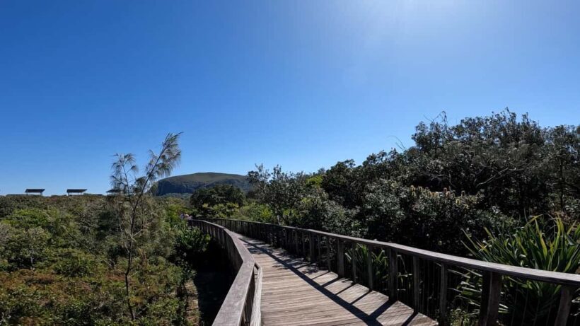 Sunshine Coast: Easy Peasy Novotel North E-Bike Tour - Authentic Feedback & Insights