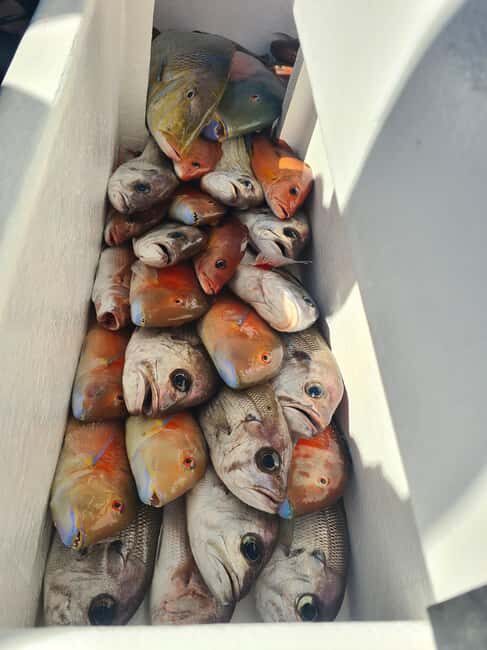 Sunshine Coast: Fishing Charters - Key Points