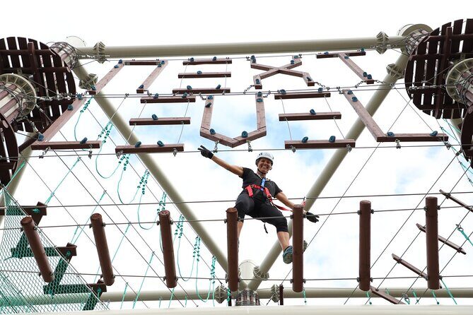 Sunshine Coast High Ropes Course - Introduction: A High-Flying Adventure for All