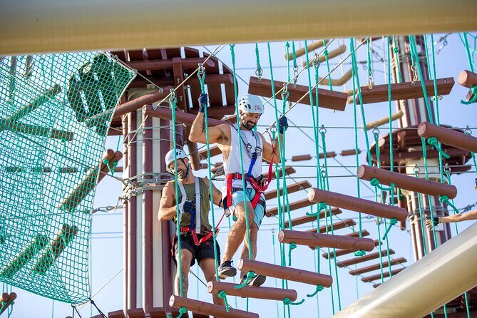 Sunshine Coast High Ropes Course - Key Points