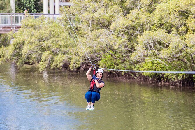 Sunshine Coast High Ropes Course - The Sum Up: A Thrilling, Scenic Escape for Active Travelers