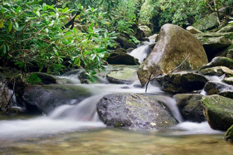 Sunshine Coast: Hinterland Adventure Private 4WD Jeep Tour - Key Points
