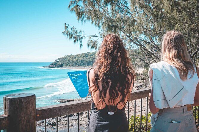 Sunshine Coast Hinterland and Noosa Day Trip from Brisbane Incl Eumundi Markets - Who Would Enjoy This Tour?