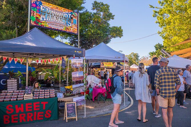 Sunshine Coast Hinterland Day Tour: Noosa, Eumundi and Montville - A Close Look at the Itinerary and Experience