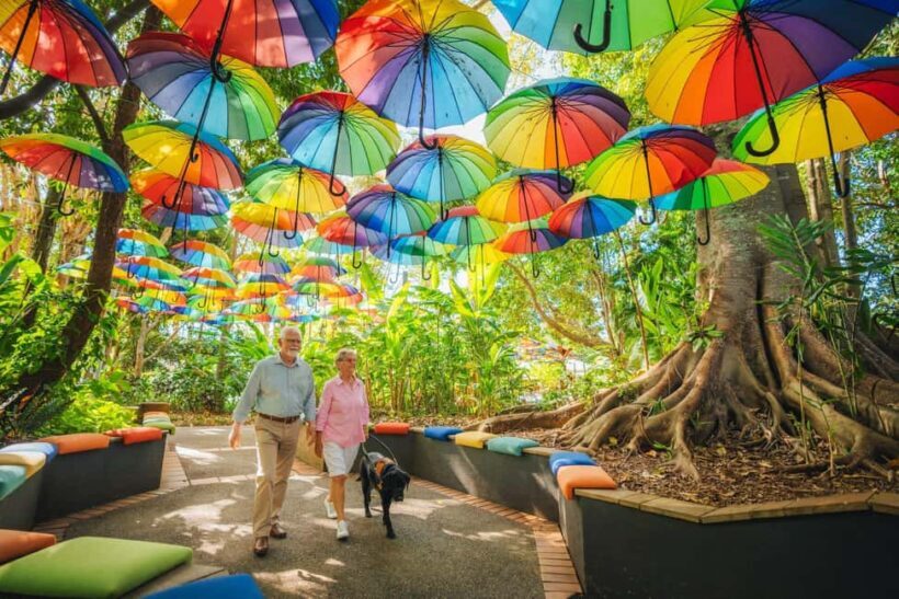Sunshine Coast Hinterland Private Tour from Brisbane - Key Points
