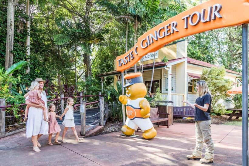 Sunshine Coast Hinterland Private Tour from Brisbane - A Taste of Queensland’s Hinterland: The Itinerary in Detail
