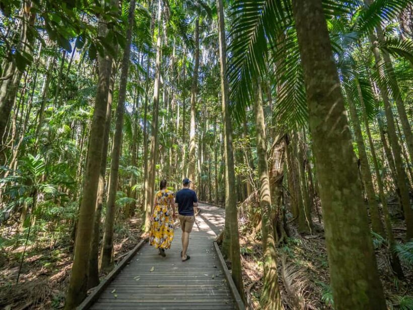 Sunshine Coast Hinterland Private Tour from Brisbane - The Sum Up
