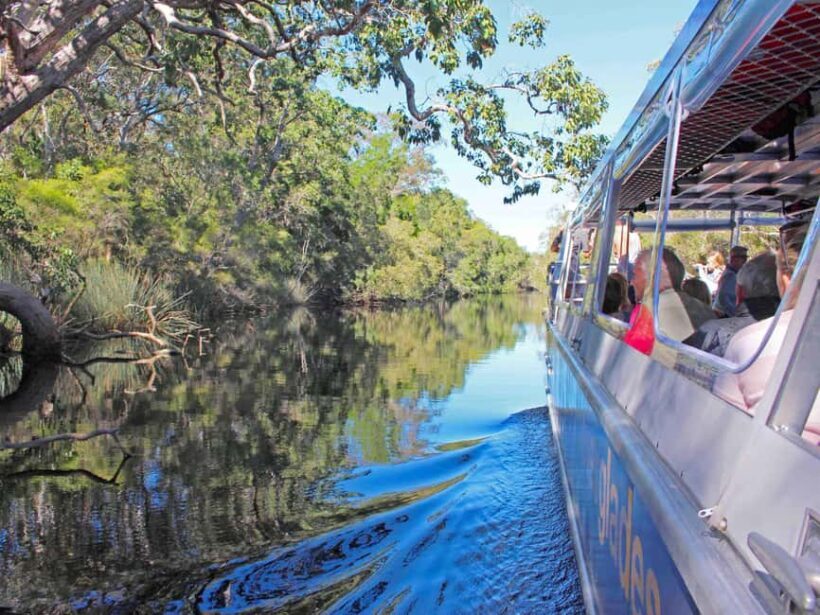Sunshine Coast: Noosa Everglades, Hinterland & Boat Cruise - A Detailed Look at the Tour Experience