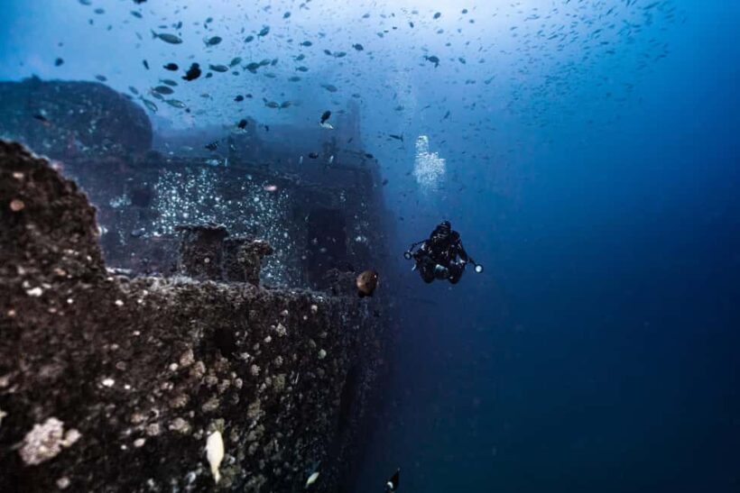 Sunshine Coast: Scuba Dive the Ex-HMAS Brisbane Ship Wreck - Price, Value, and Additional Considerations