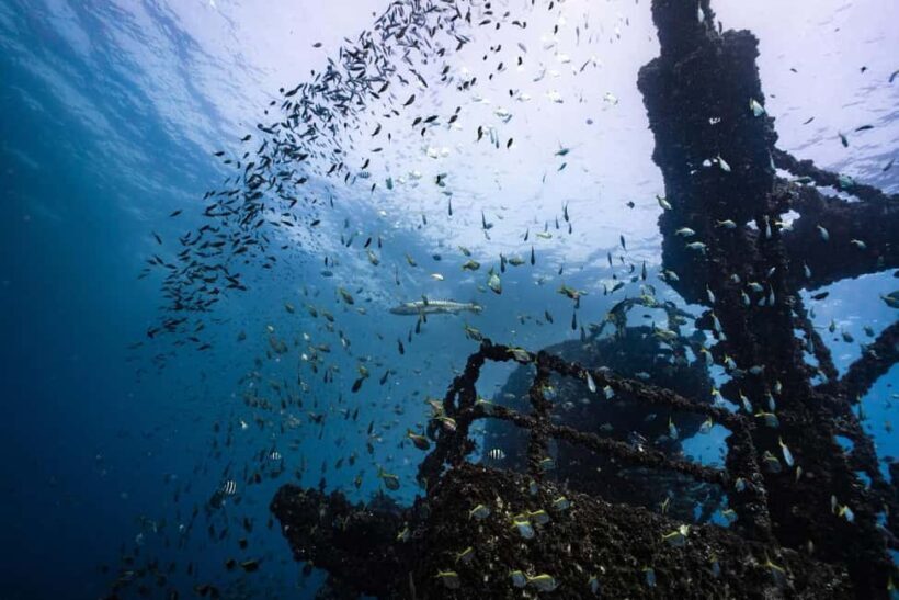 Sunshine Coast: Scuba Dive the Ex-HMAS Brisbane Ship Wreck - The Sum Up