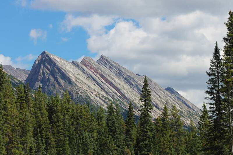 Sunwapta Challenge Whitewater Rafting in Jasper - Authentic Reviews and What Travelers Say