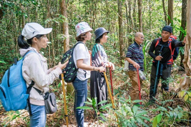 Suoi Tien 1-Day Trekking: Phu Quoc Excursion - Who Should Consider This Tour?