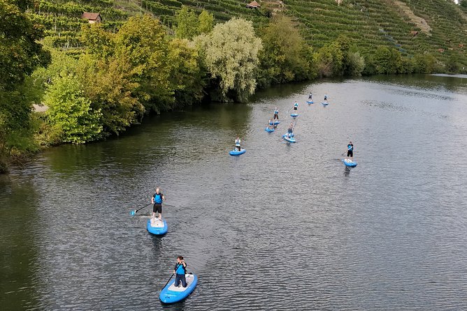 SUP BASIC COURSE Stuttgart Neckar Stand Up Paddling / Paddling Adventure Jones Tours - Final thoughts