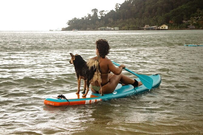 SUP Boarding in the Bay - Key Points