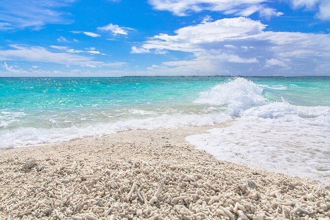 SUP/Canoe & Landing on Coral Island & Sightseeing in Yubujima - Schedule and Requirements