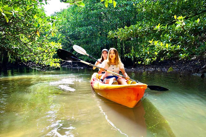 SUP/Canoe & Landing on Coral Island & Sightseeing in Yubujima - Pricing and Cancellation
