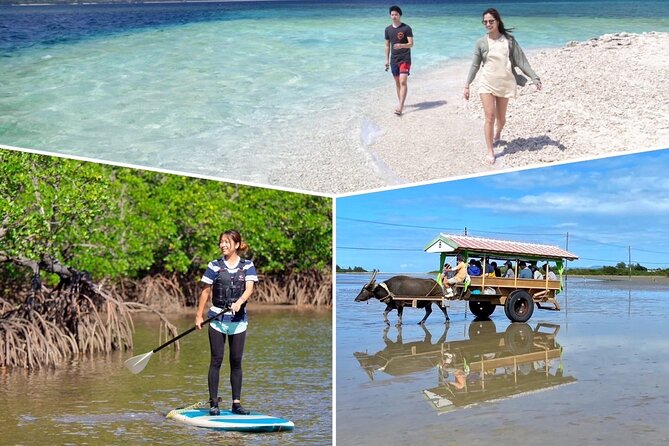 SUP/Canoe & Landing on Coral Island & Sightseeing in Yubujima - Discovering Yubu Island