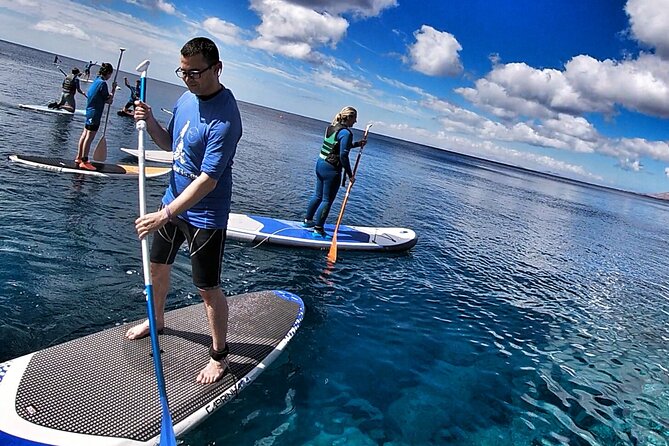 Sup Experiences in the ocean - The Sum Up