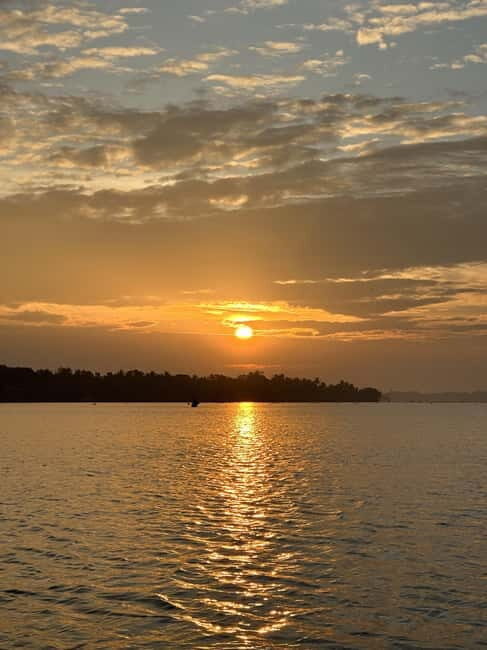 SUP in Kochi: Sunrise Stand-Up Paddleboarding Tour - The Sum Up