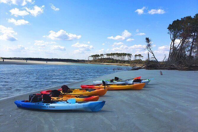 SUP (stand-up paddboard) Salt Marsh Maze Tour - Introduction: A Unique Way to Experience North Myrtle Beach
