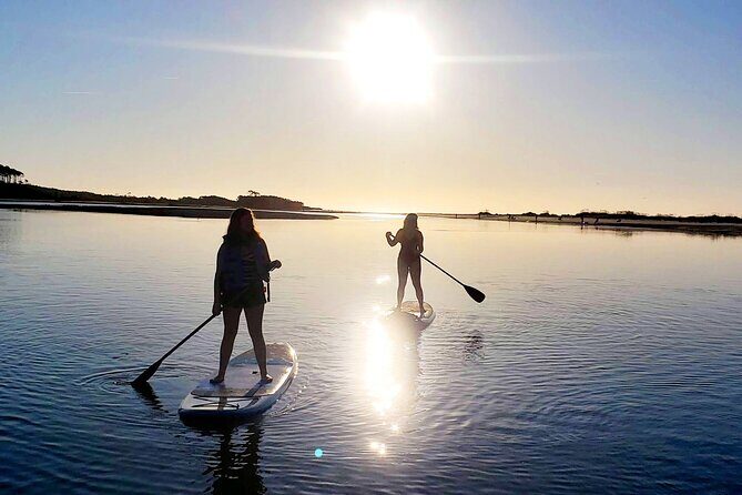 SUP (stand-up paddboard) Salt Marsh Maze Tour - Who Will Love This Tour?