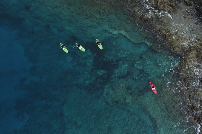 SUP Standup Paddling and Snorkeling Shared Experience - Schedule and Pricing