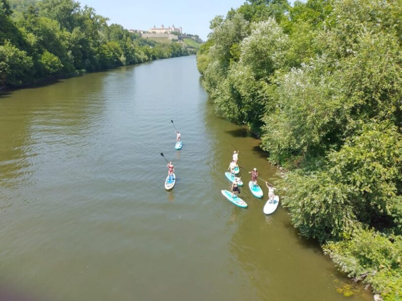 SUP Station Würzburg: SUP board rental, courses, training directly on the Main - Who Should Consider This Experience?