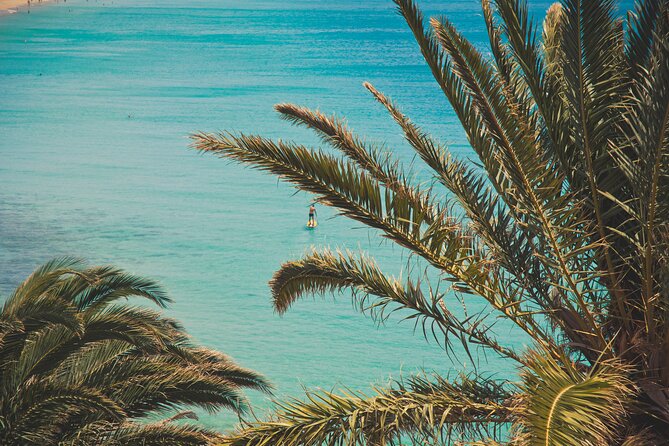 SUP taster course in the picturesque bay of Morro Jable - Why This SUP Course Offers Value