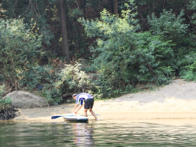 SUP TOUR - Explore Porto´s surroundings on a SUP Board - Return Journey and Reflection