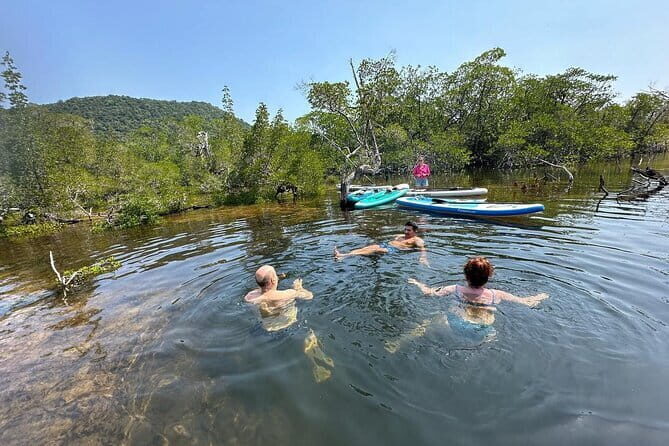 SUP Tour in Mangrove Forest of Koh Rong Sanloem - The Sum Up: Who Is This Tour For?