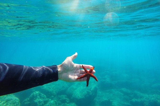 SUP tour in Sivota - Key Points