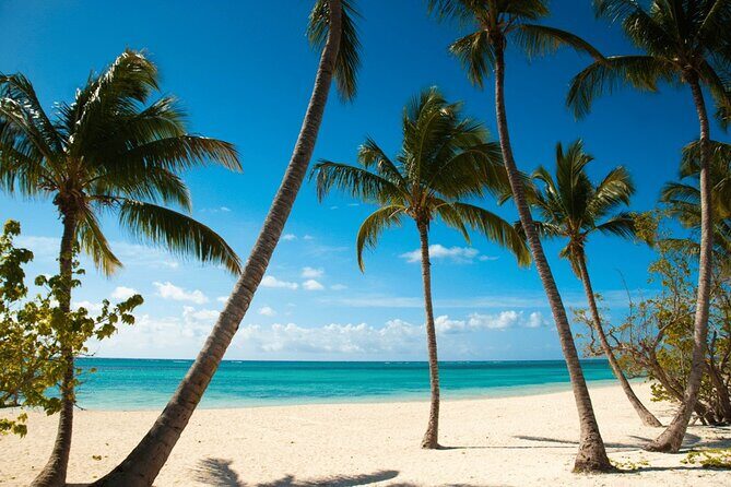 Super Combo Full Day Tour - FAQs