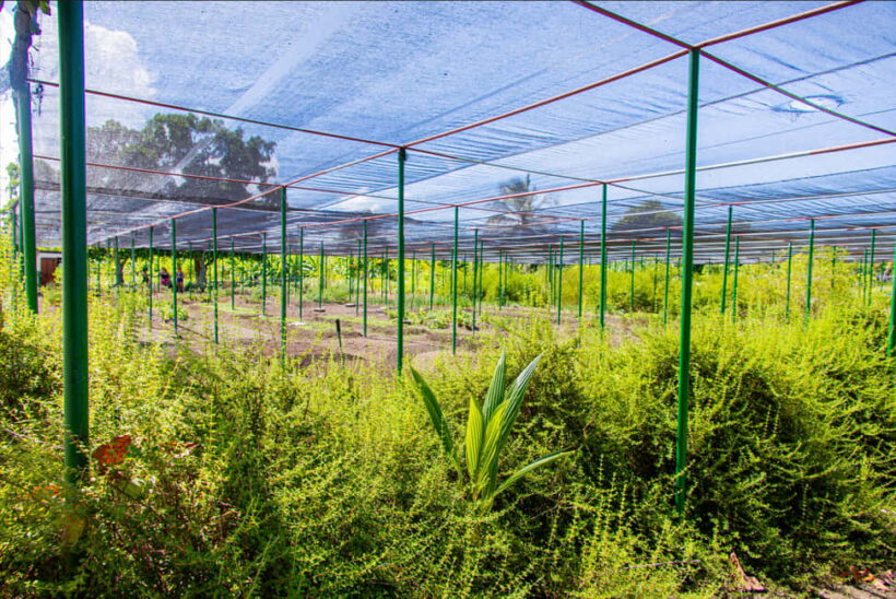 Super Combo Full Day Tour - Authenticity and Value