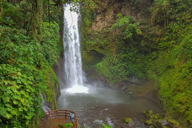 Super Combo Tour: Waterfalls Gardens + Coffee Tour + Poás Volcano - Why Choose This Tour?