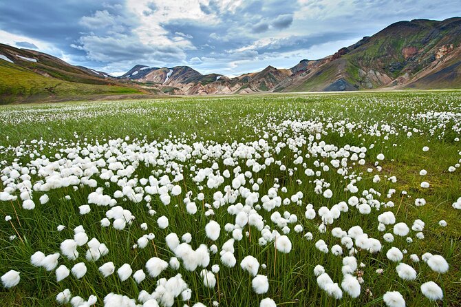 Super Jeep Tour to Landmannalaugar - An Honest Look at the Super Jeep Tour to Landmannalaugar