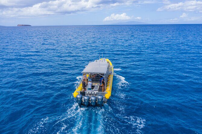 Super Raft - Private Charter Maui 3 Hour Snorkel to Coral Gardens or Molokini - Authentic Experiences and Guest Feedback