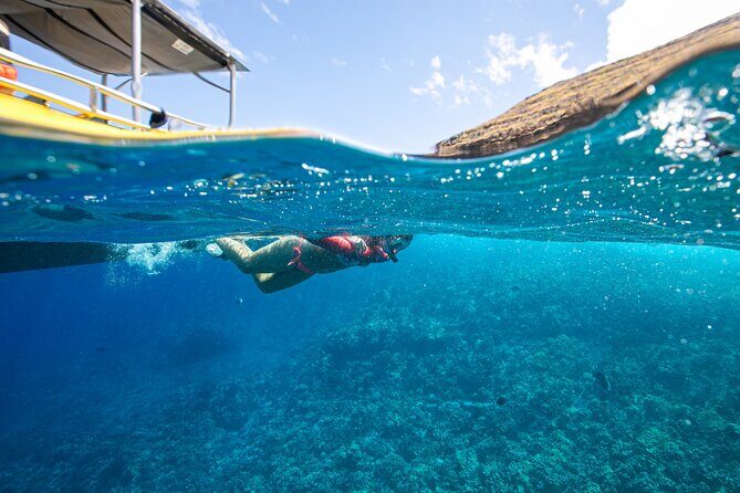 Super Raft - Private Charter Maui 3 Hour Snorkel to Coral Gardens or Molokini - Final Thoughts