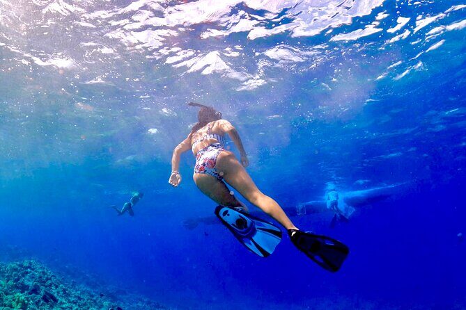 Super Raft - Private Charter Maui 3 Hour Snorkel to Coral Gardens or Molokini - FAQ About the Super Raft Maui Snorkel Tour