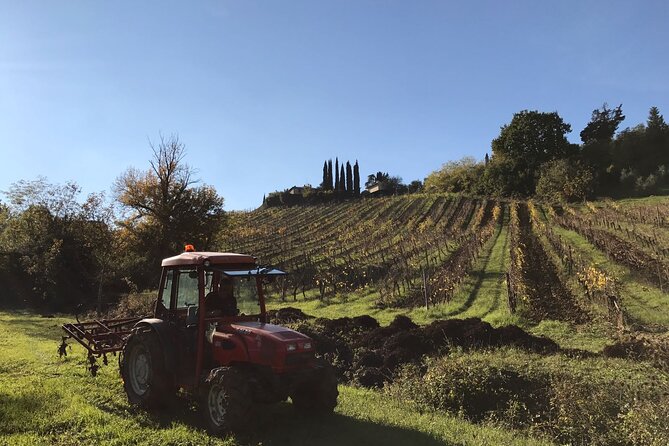 Super Tuscan & IGT wines, Evo Oil & Balsamic Vinegar Tasting - Who Will Love This Tour?