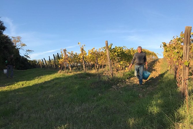 Super Tuscan & IGT wines, Evo Oil & Balsamic Vinegar Tasting - The Sum Up