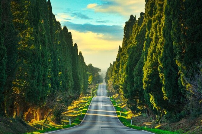 Super Tuscan Wine Tour to Bolgheri - A Detailed Look at the Super Tuscan Wine Tour to Bolgheri