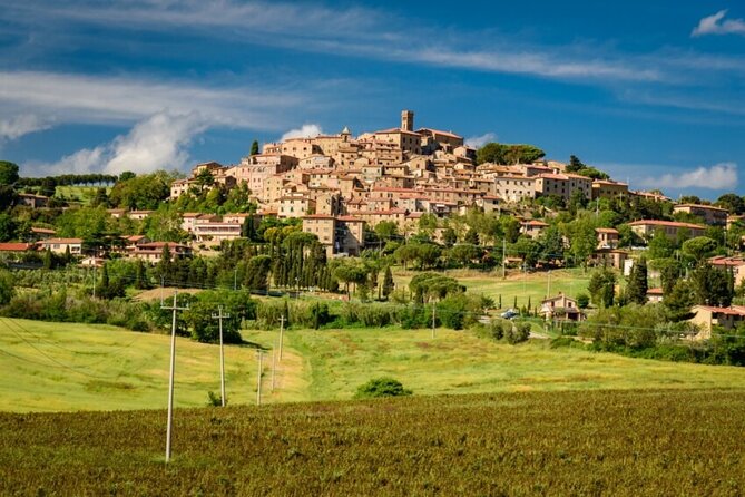 Super Tuscan Wine Tour to Bolgheri - Who Will Love This Tour?