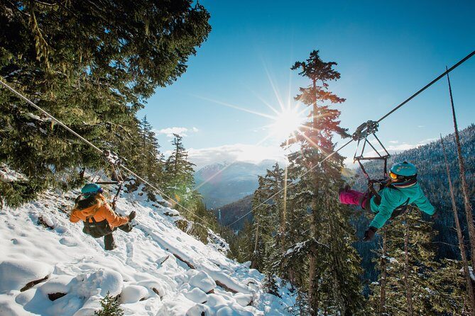 Superfly Ziplines on Cougar Mountain - includes 4 ziplines! - The Ziplines and Their Unique Appeal