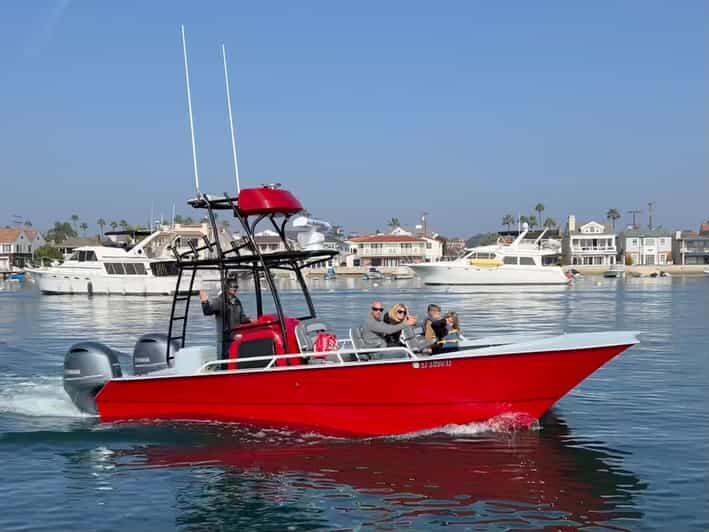 Superior 2hr Private Whale & Dolphin Watching Newport Beach - Value for Money: Is It Worth It?