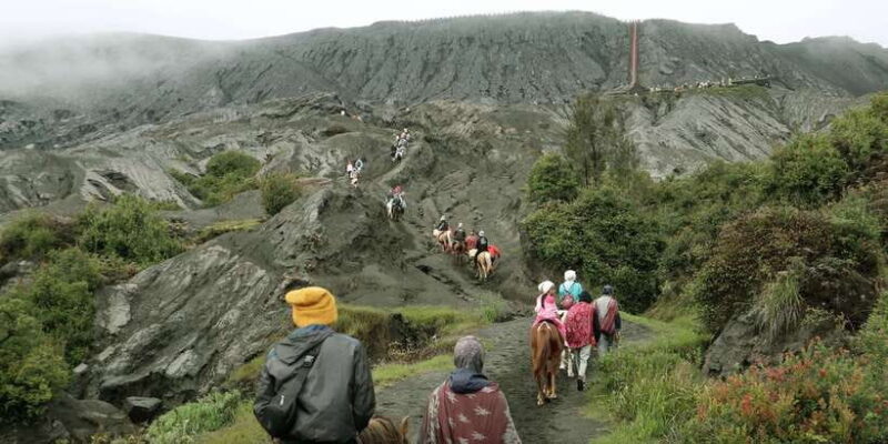 Surabaya / Malang: Bromo Serenity Morning Ultimate Tour - The Sum Up