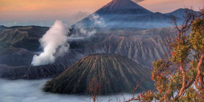 Surabaya: Mount Bromo Sunrise 1-Day Group Tour - What’s Included and What’s Not