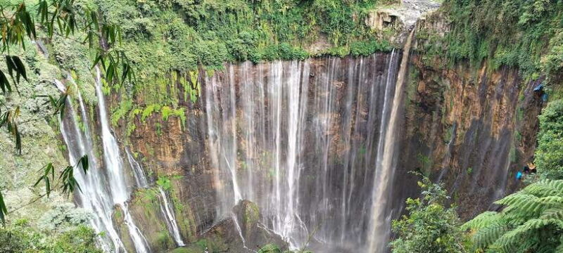 Surabaya or Malang : trip to Tumpak Sewu + Bromo sunrise - Final Thoughts: Is This Tour for You?