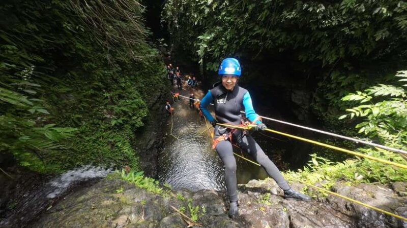 Surabaya to Bali: All Inclusive 9-Day Tour with local guide - Who Will Love This Tour?